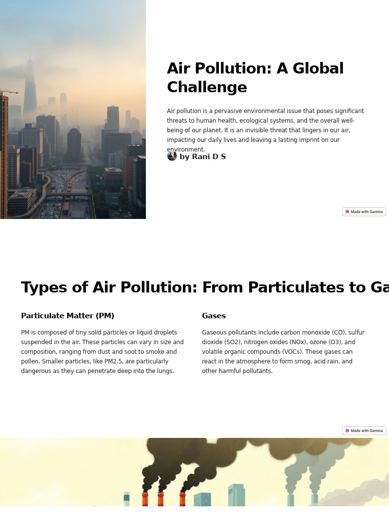Air Pollution A Global Challenge | PDF | Air Pollution | Particulates