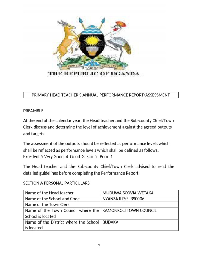 Primary Performance Report 2024 | PDF