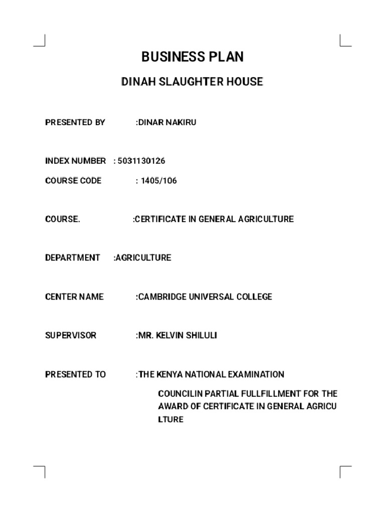 DAVID LOKAPEL BS PLAN-1 - Phoenix | PDF