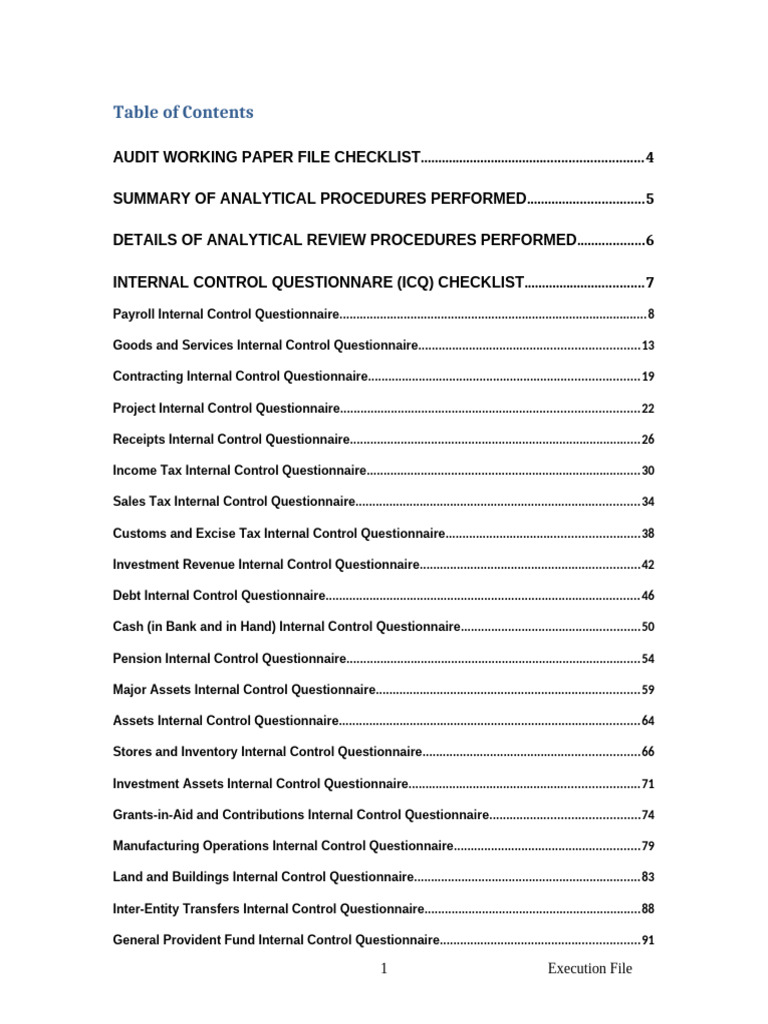 Execution File | PDF | Internal Control | Audit