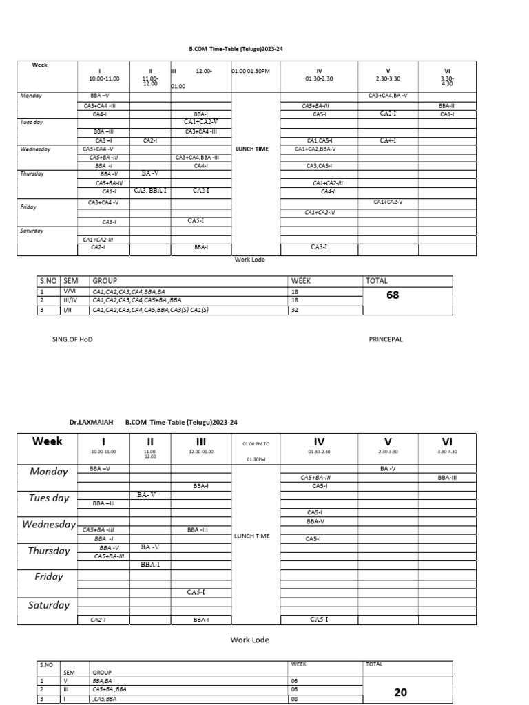 Time Table 2023-24 | PDF | Hippocampus Anatomy | Temporal Lobe