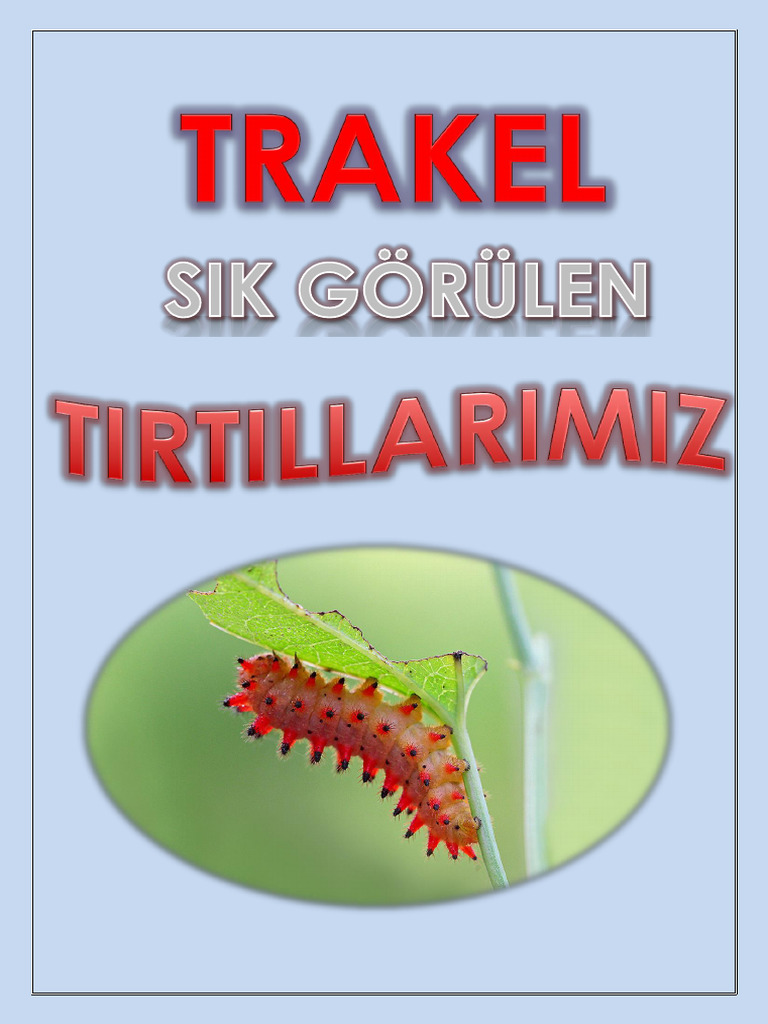 96931 | PDF