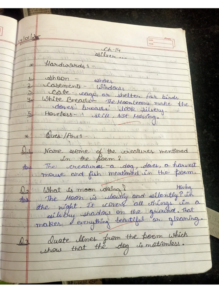 Class - VI English - I S.A-2 Course | PDF