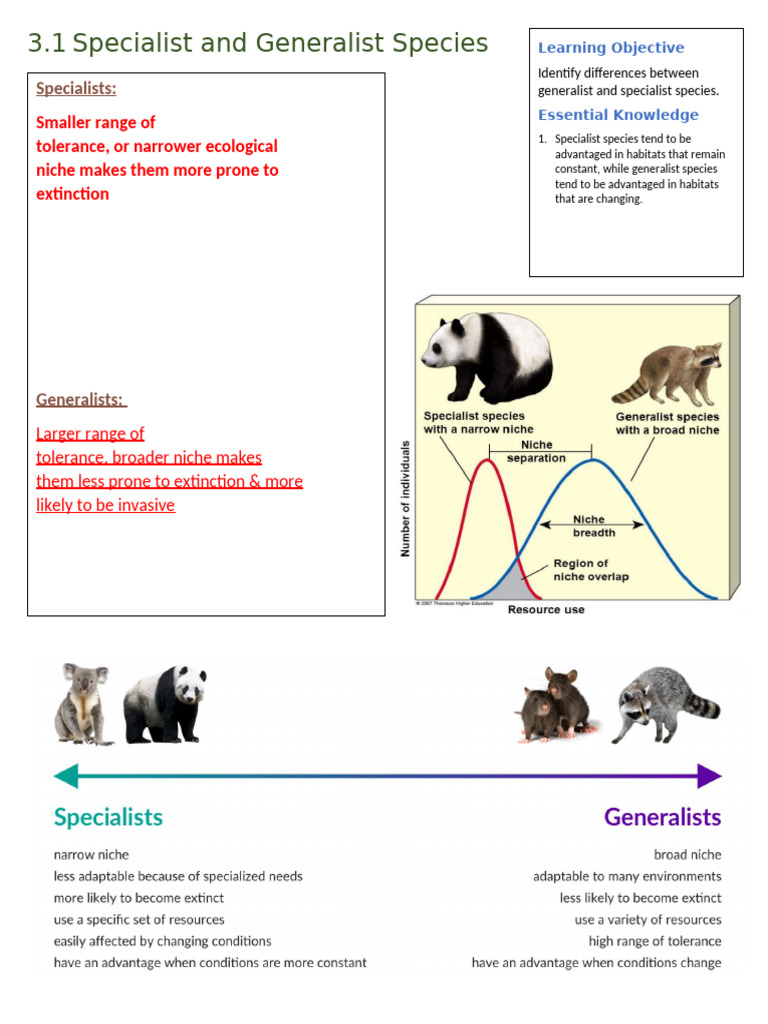 Species Strategies and Population Dynamics | PDF | Total Fertility Rate ...