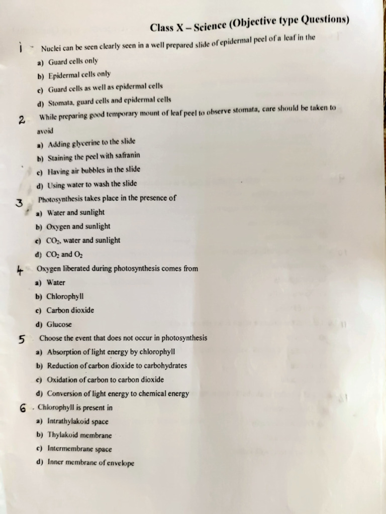 Class 10 Biology Photosynthesis Quiz | PDF | Photosynthesis | Stoma