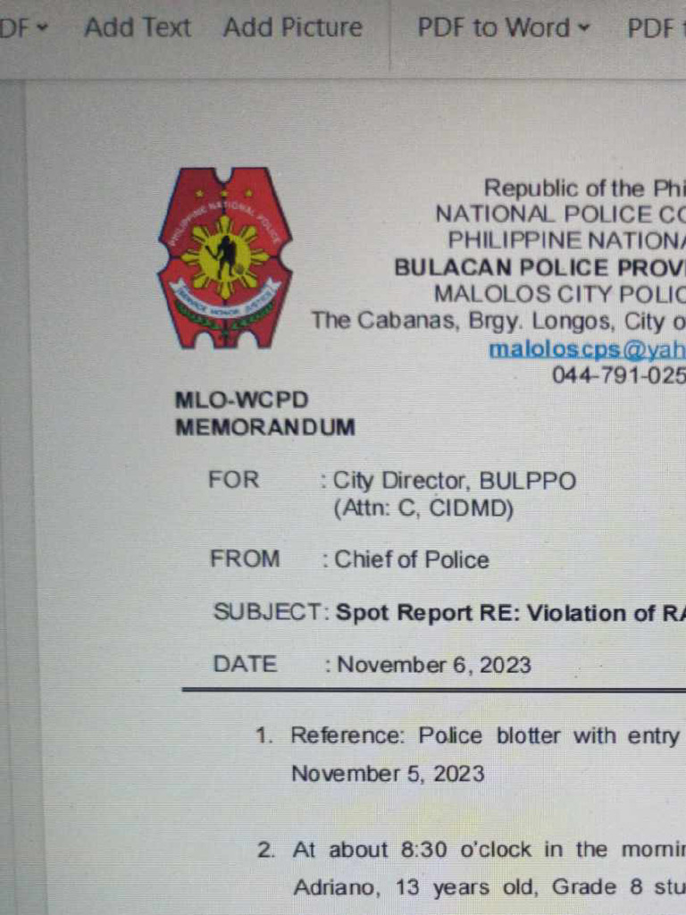 Spot Report Image Version | PDF