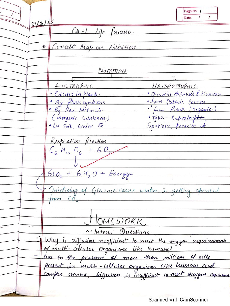 Biology Handwriting Notes CH 1 Class 10 | PDF