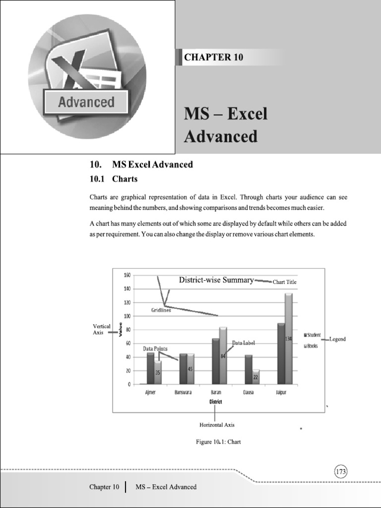 Chapter 10 - MS - Excel Advanced | PDF