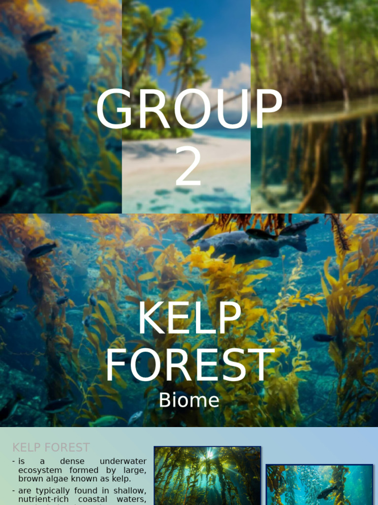 BIOME | PDF