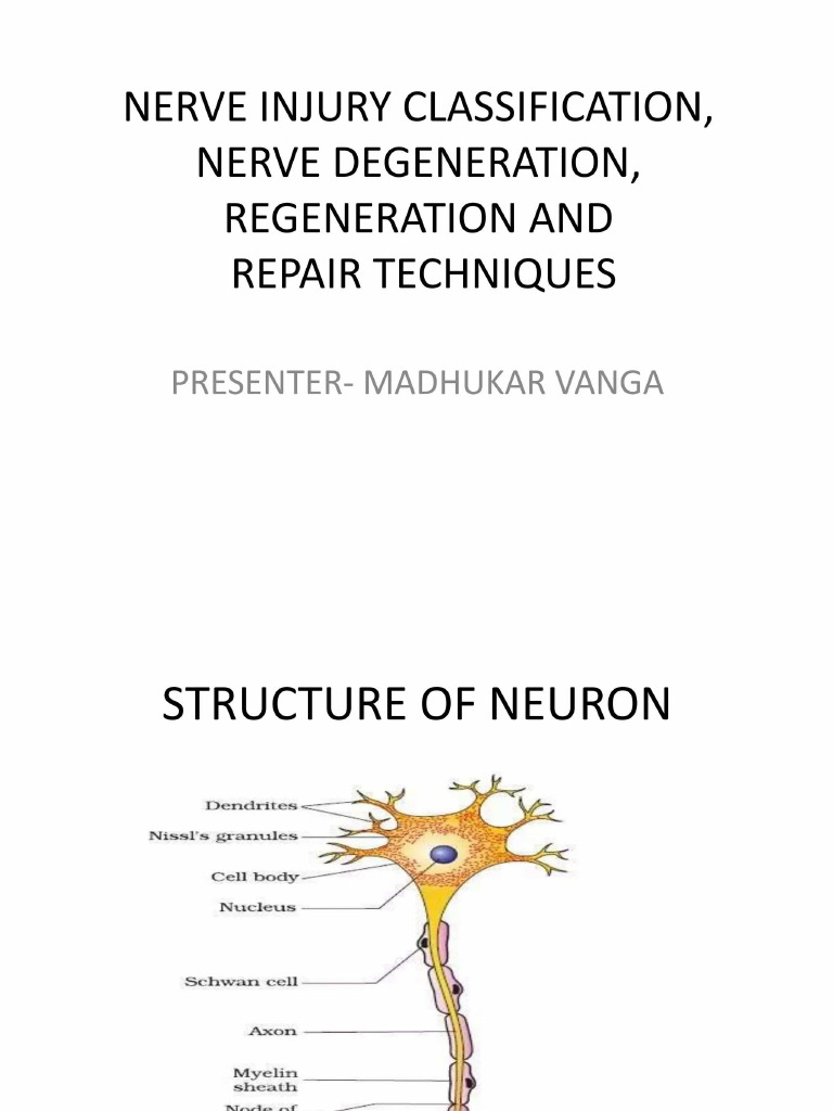 Nerve Injury | PDF