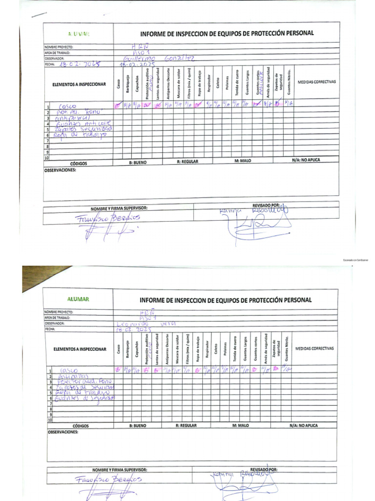 Inspección EPP | PDF