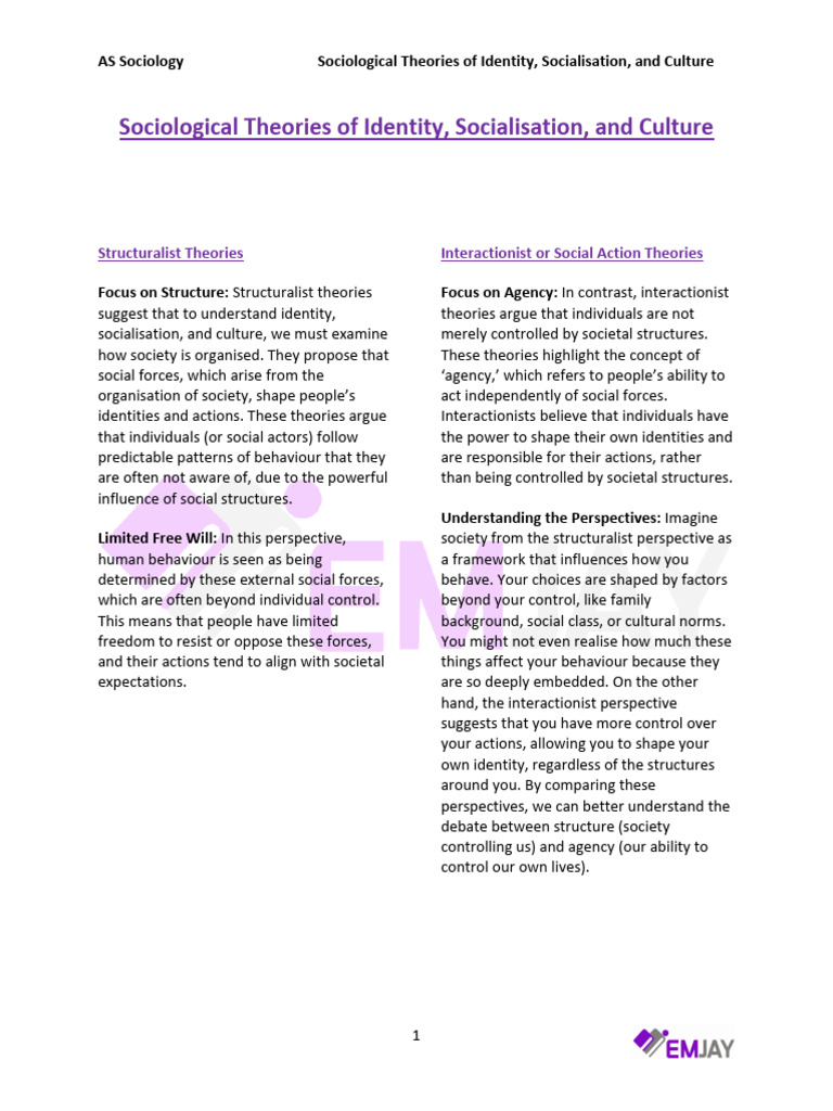 AS Socio - Sociological Theories of Identity | PDF | Social Structure ...