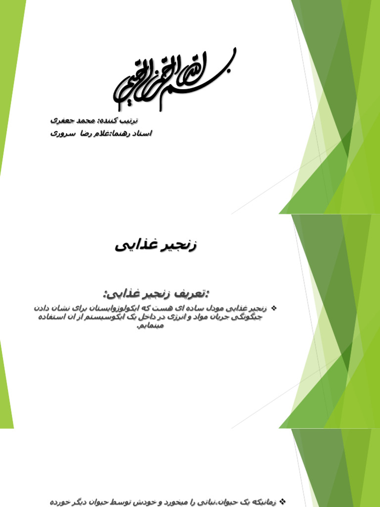Mohammad pdf2 | PDF