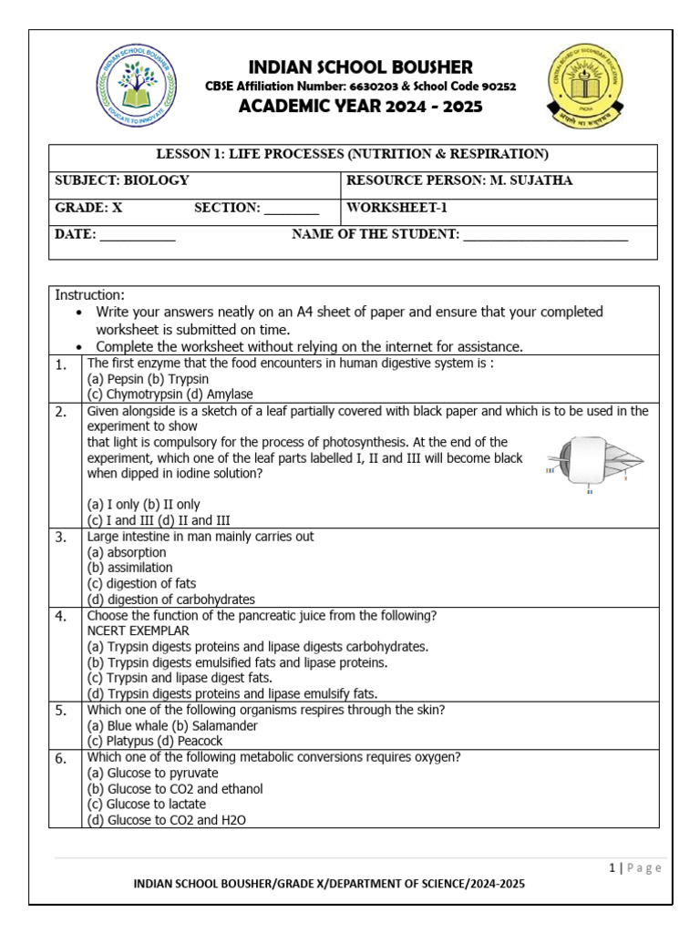 Grade X Biology Worksheet on Life Processes | PDF | Digestion ...