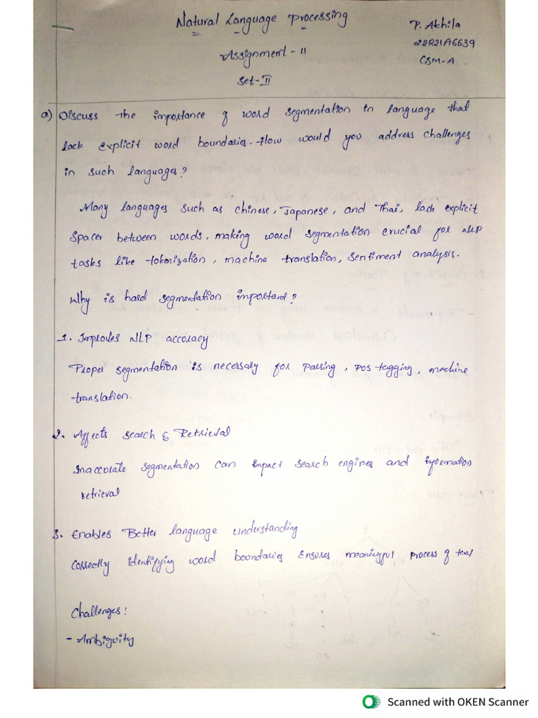 NLP Assignment 2 | PDF