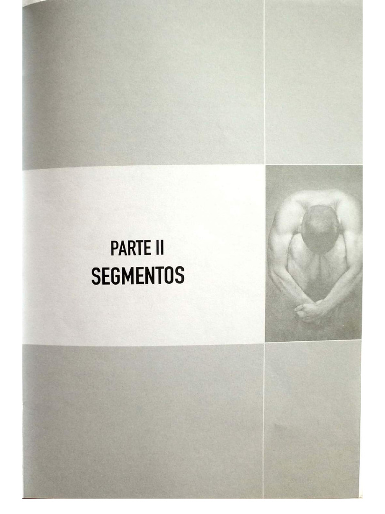 Parte II - Segmentos | PDF