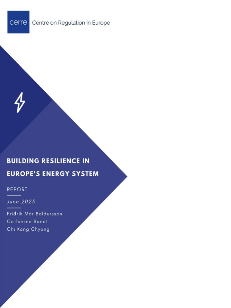 Cerre Report Resilience | PDF
