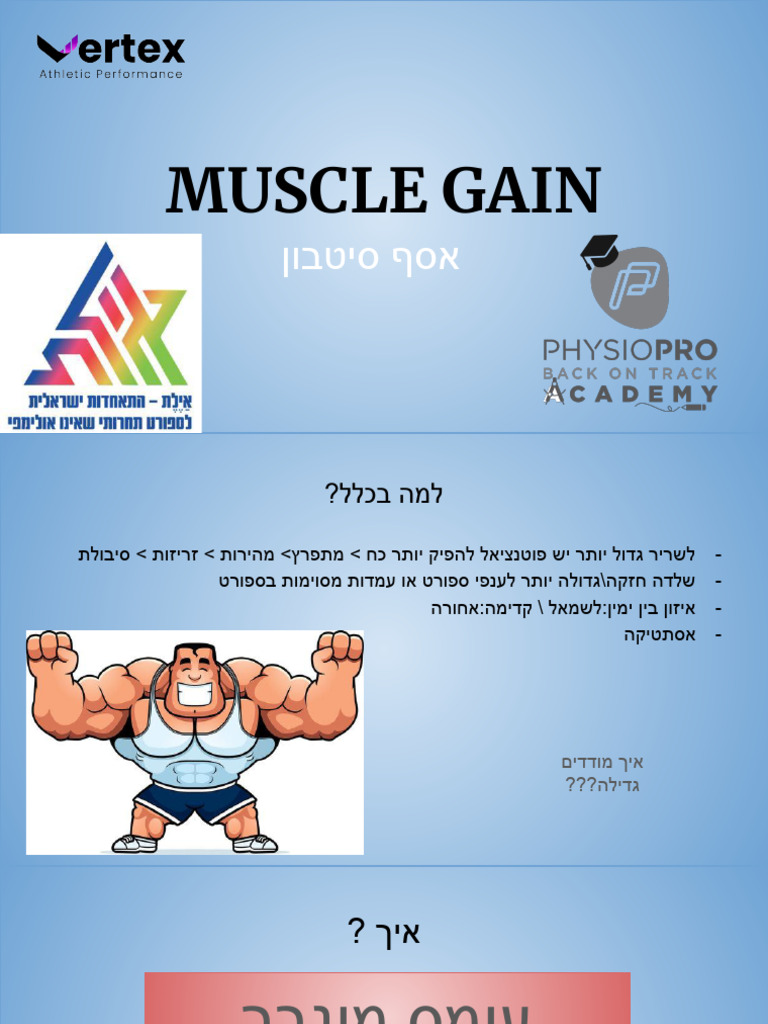 Muscle Gain | PDF
