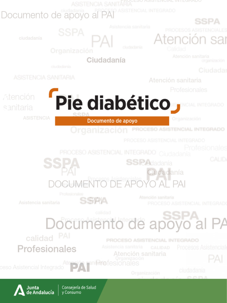 PAI Pie Diabetico | PDF | Diabetes | Pie