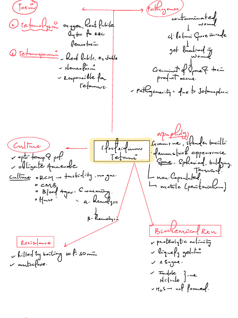 Flow Chart of Neisseria Gonorrhea and CL - Tetani | PDF