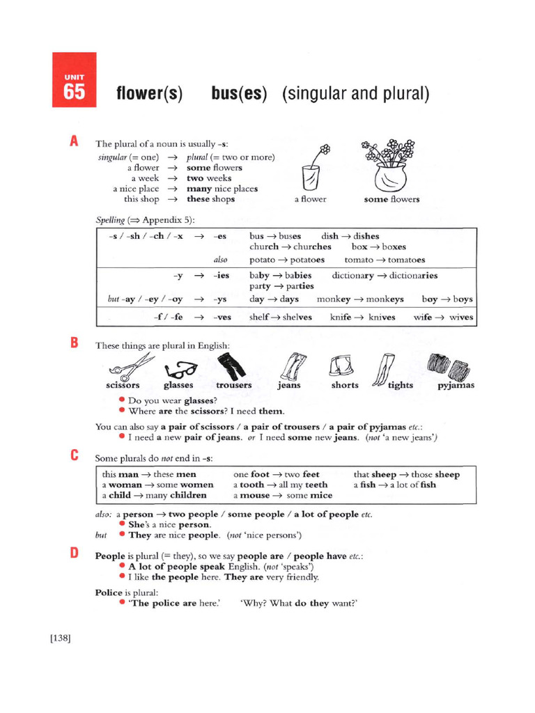 Plurals (Grammar in Use) | PDF