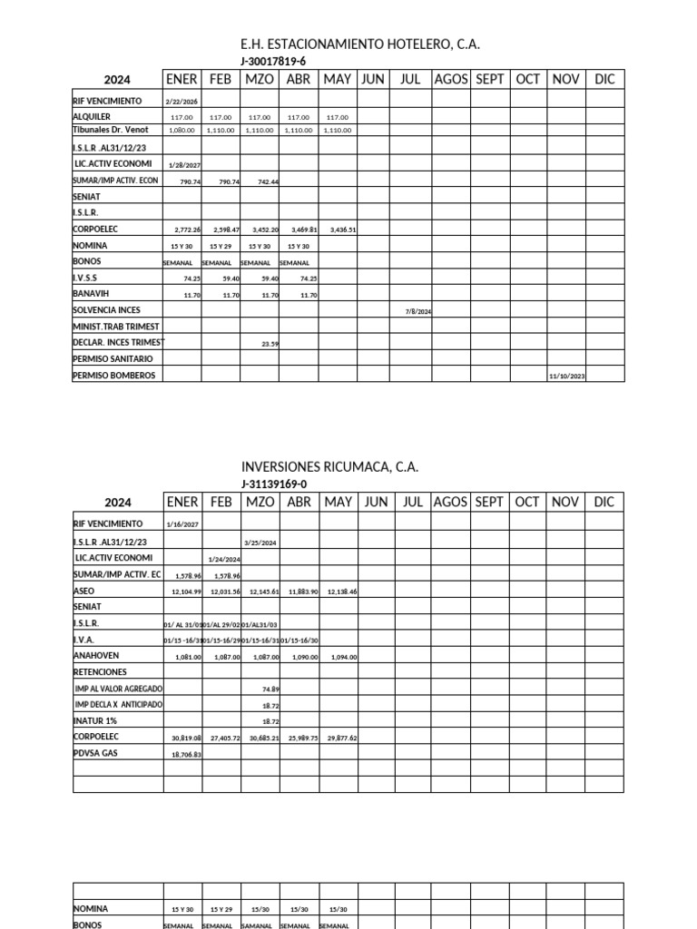 Control de Pagos y Vigencia de Permisos | PDF | Venezuela