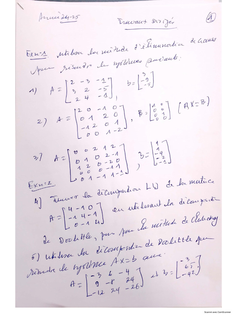 TD D'analyse Numérique | PDF