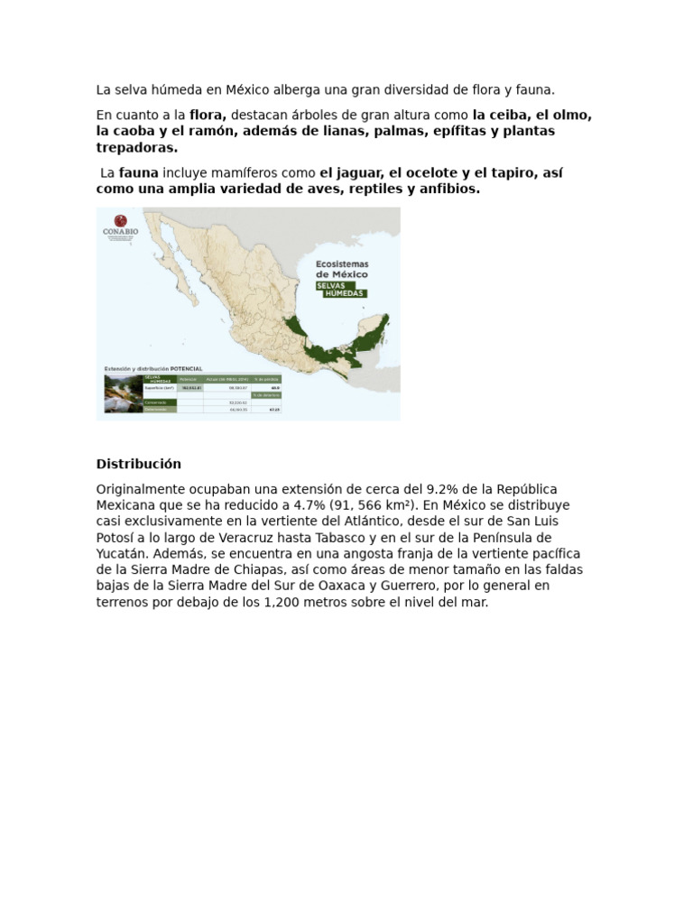 Flora y fauna de la selva húmeda en México | PDF