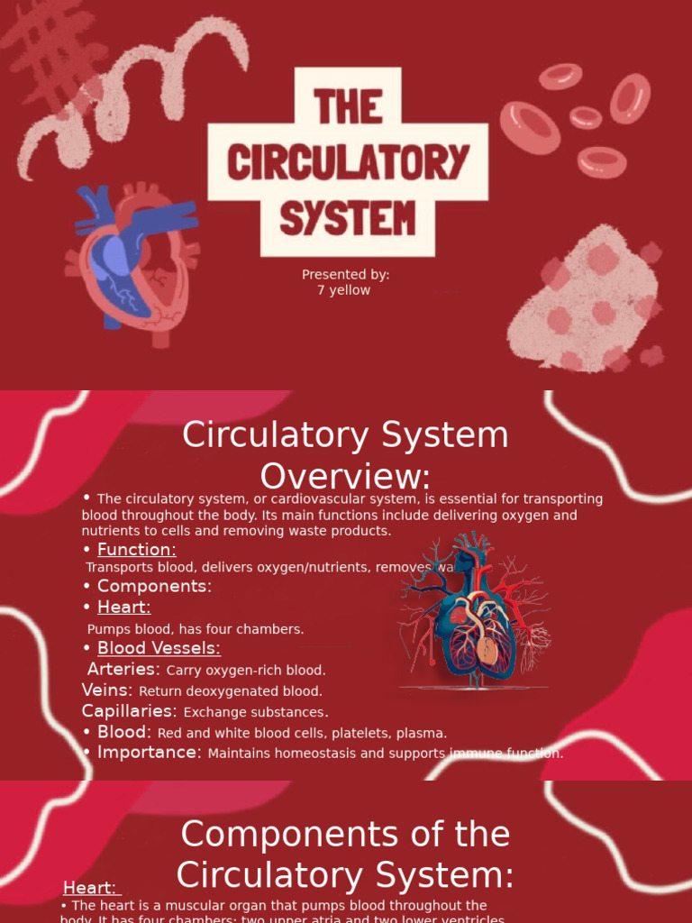 Circulatory System Powerpoint Presentation | PDF | Circulatory System ...