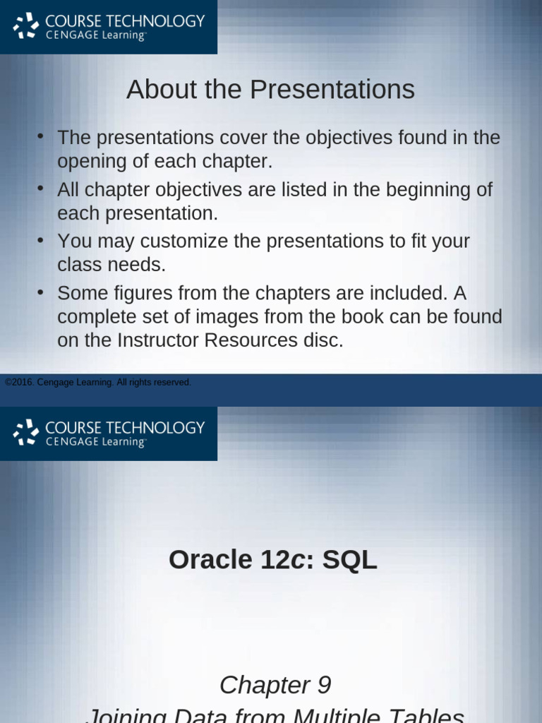 Chapter 09 | PDF | Computer Data | Information Technology Management