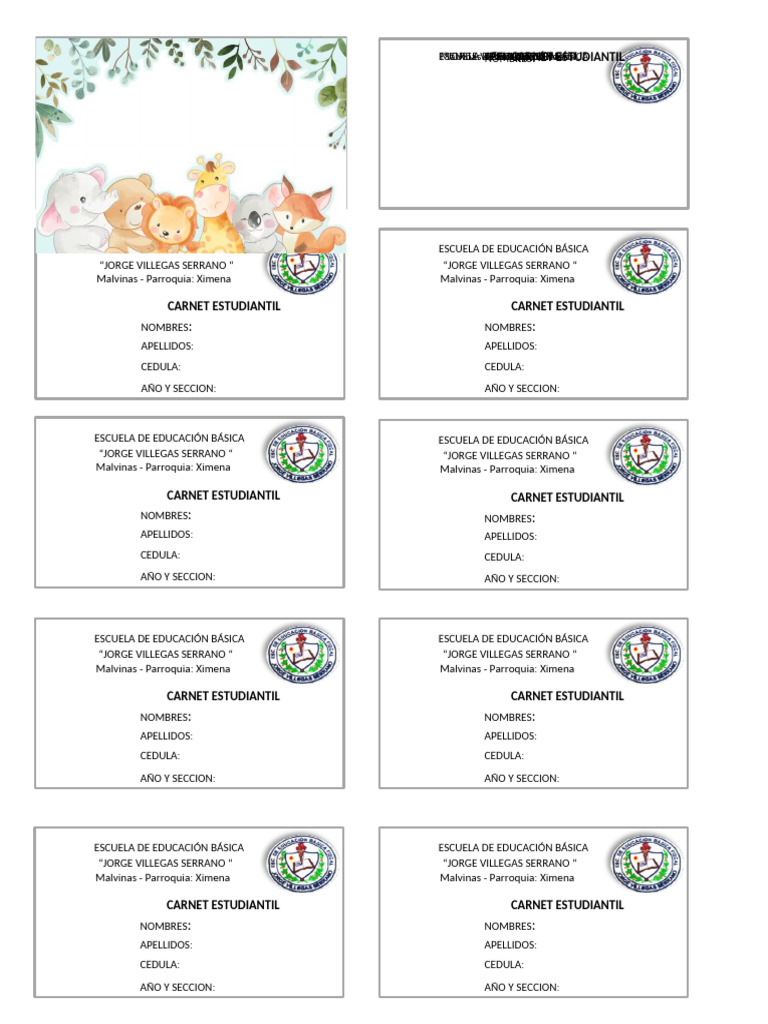 Carnet Estudiantil 2019 | PDF