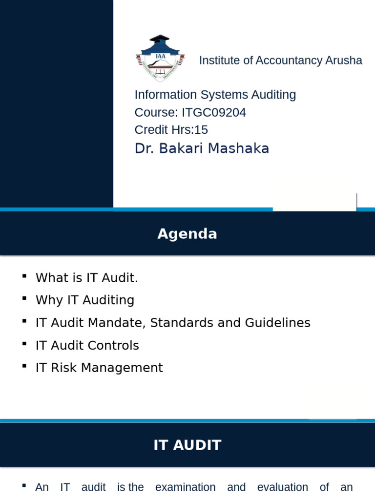 IT Auditing Overview and Standards Guide | PDF | Audit | Information ...