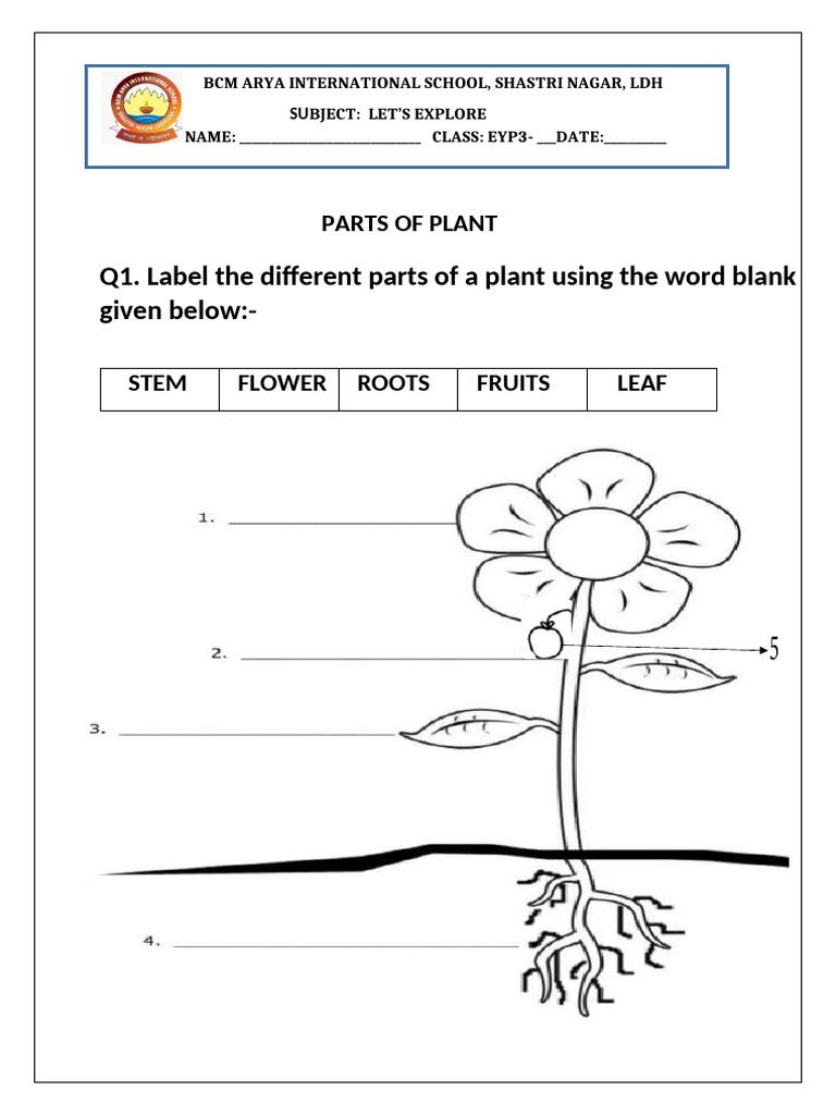 894-c-7821-UKG LETS EXPLORE PARTS OF PLANTS | PDF
