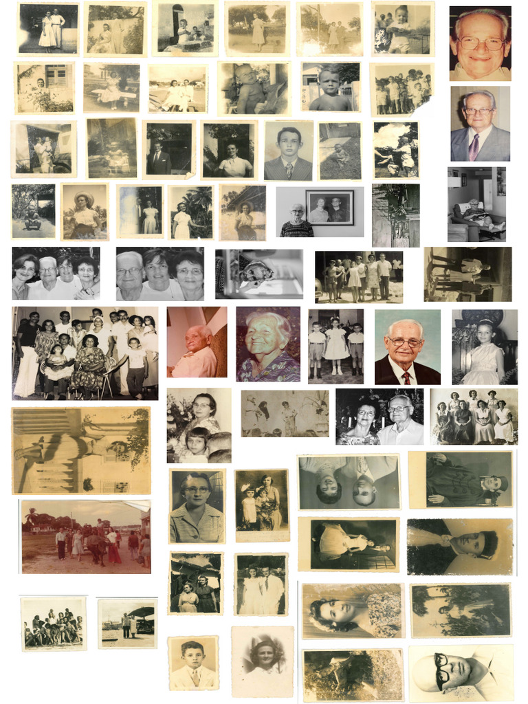 Selice - Banner | PDF