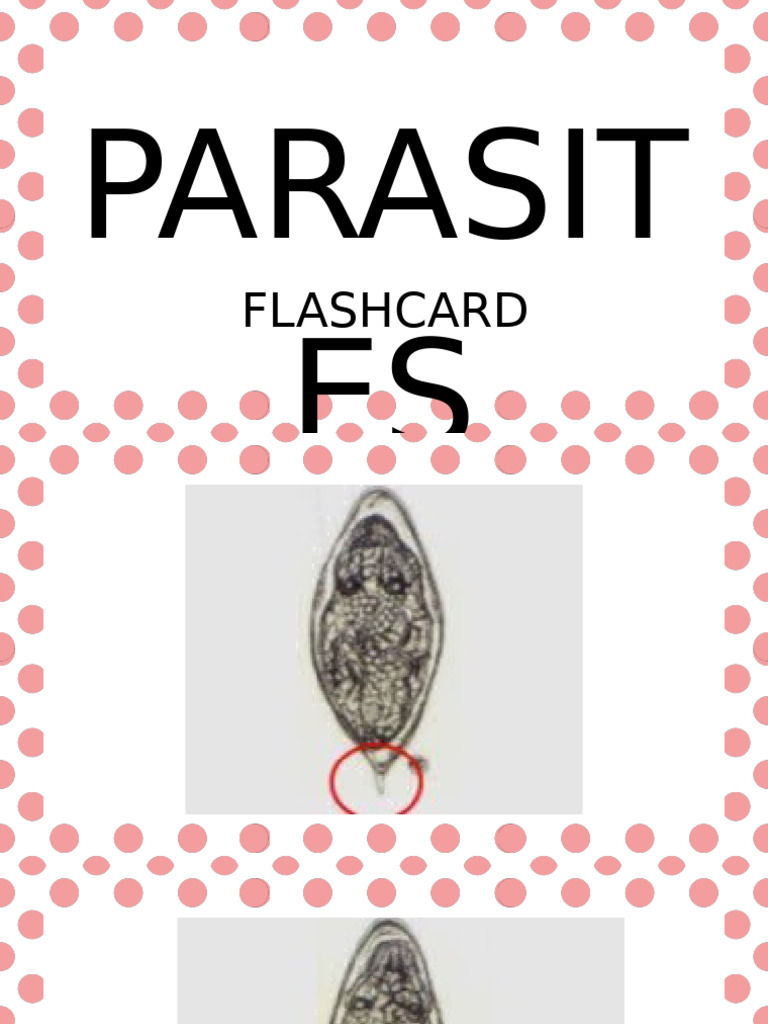 Parasites | PDF