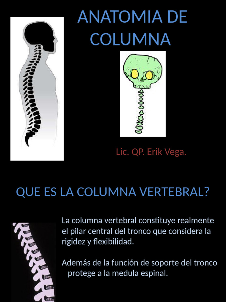 CLASE 1 COLUMNA VERTEBRAL (2) | PDF | La columna vertebral | Vértebra