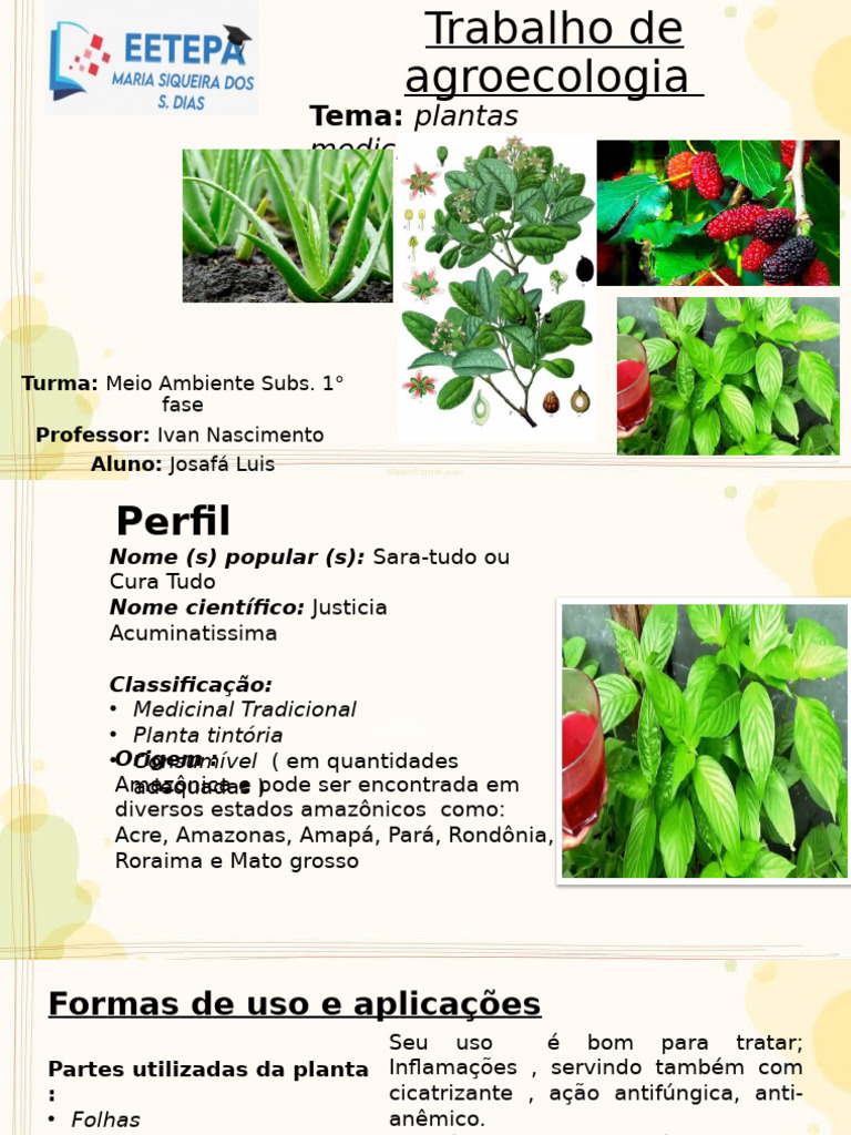 Planta Sara-tudo: Usos e Cuidados | PDF