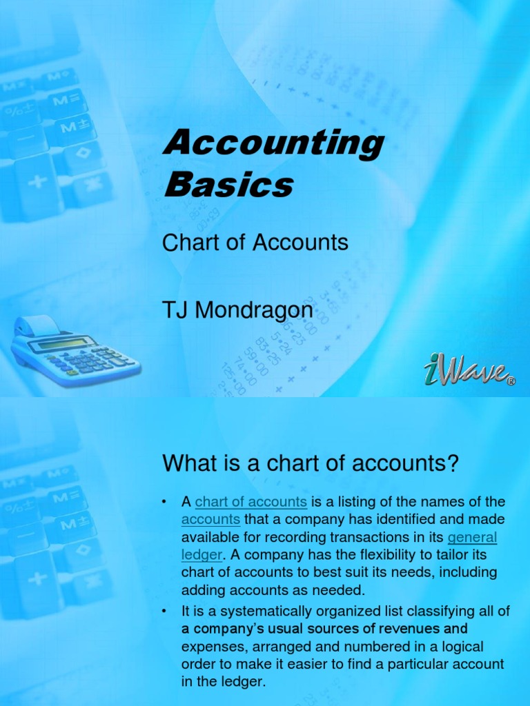 Accounting Basics: Chart of Accounts | PDF | Debits And Credits | Expense