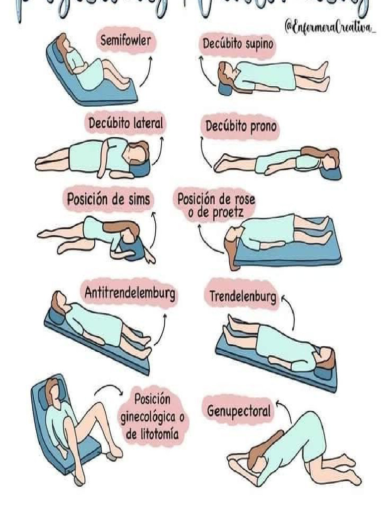 posiciones anatomicas | PDF