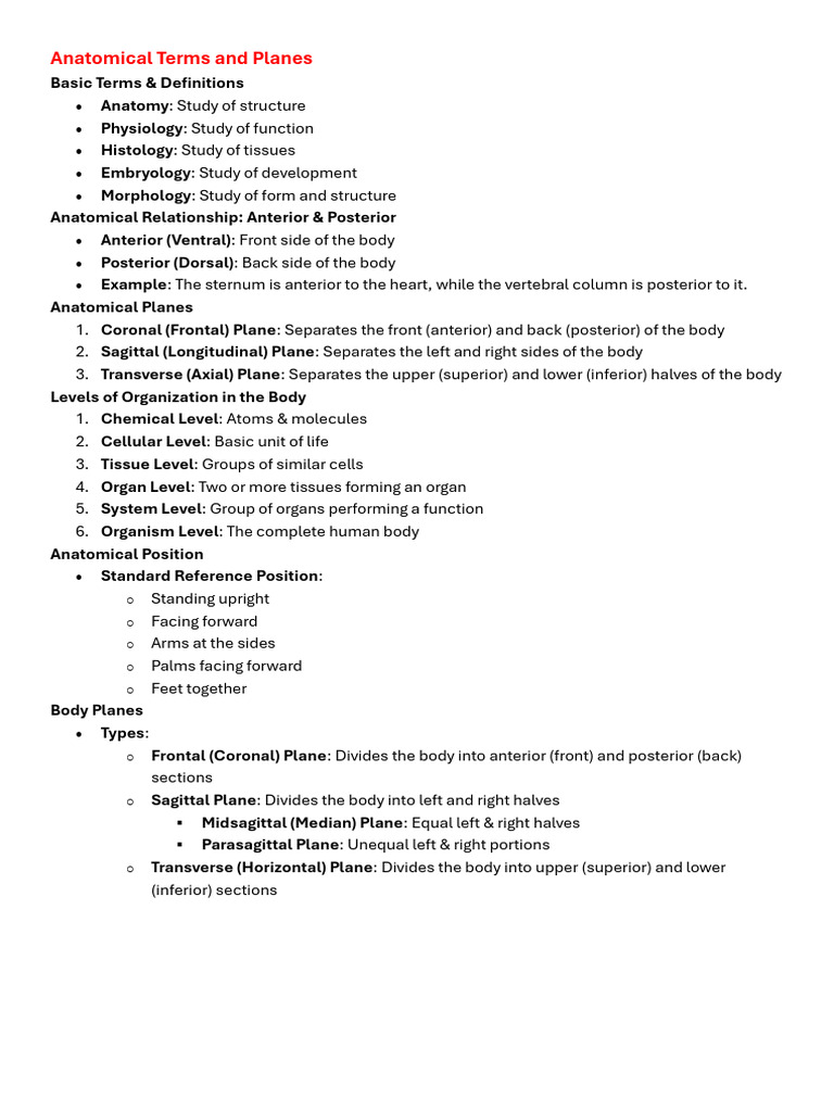 Anatomical Terms and Planes | PDF