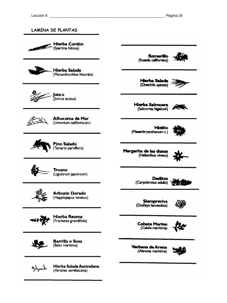 Guias de Observacion Plantas y Aves | PDF