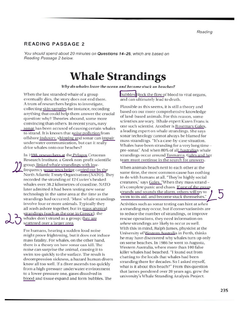 (Text) Whale Stranding | PDF