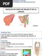 Anatomie et Fonction de la Langue | PDF | Langue | Anatomie humaine
