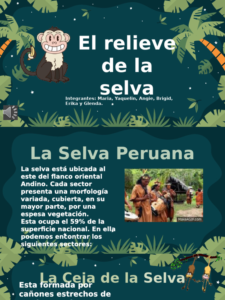 Relieve de La Selva | PDF | Selva | Andes