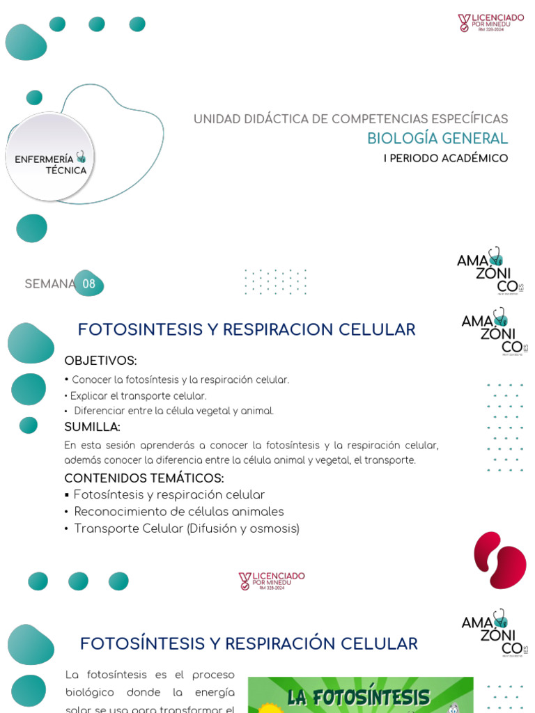 Semana 8 | PDF | Respiración celular | Fotosíntesis