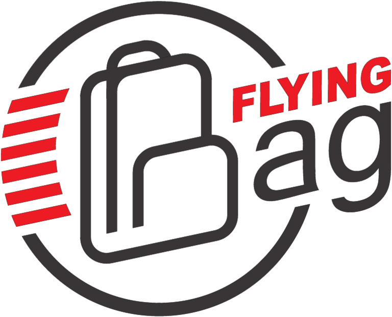 Logo FlyingBag | PDF