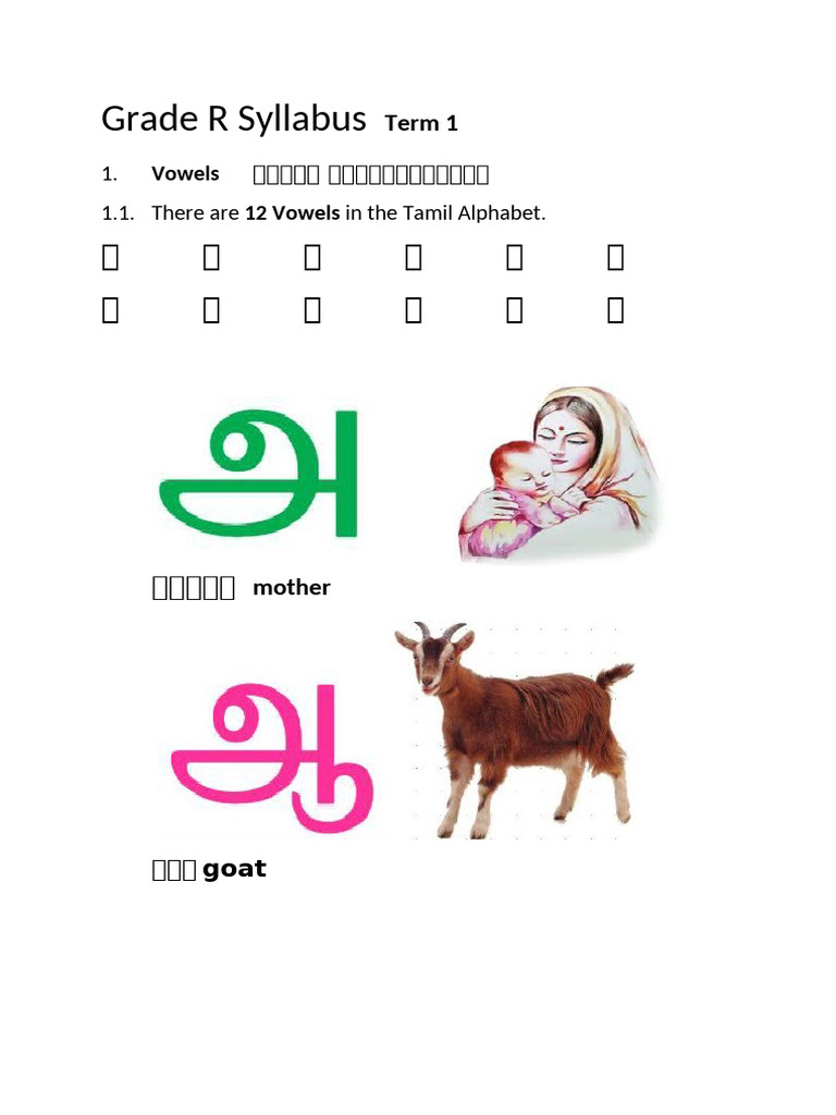 Grade R Syllabus Tamil | PDF