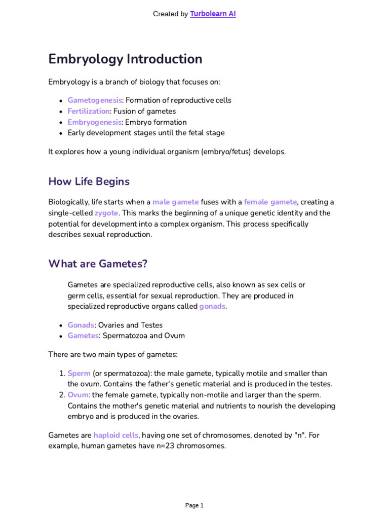 Overview of Embryology and Spermatogenesis | PDF | Meiosis | Testicle