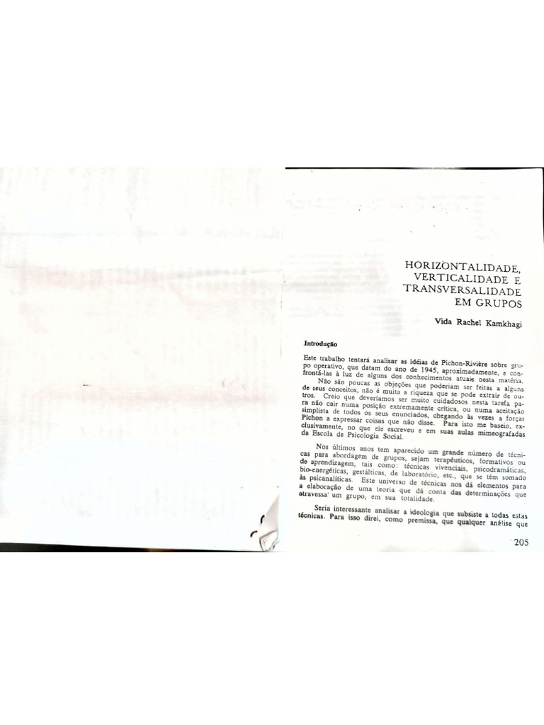 Horizontalidade, Verticalidade e Transversalidade em Grupos | PDF