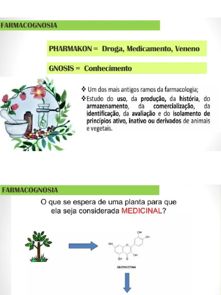farmacognosia_aula 2 | PDF
